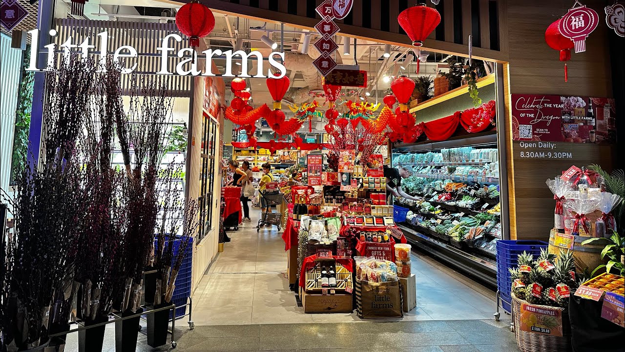 LITTLE FARM’S GROCERY STORE ️AT MY VILLAGE - YouTube