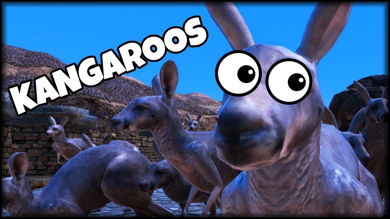 ULTIMATE KANGAROOS | ULTIMATE EPIC BATTLE SIMULATOR - YouTube