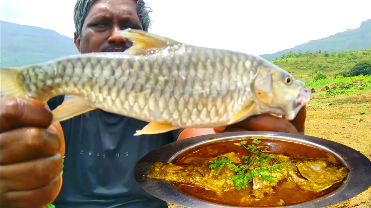 सुती जाळयाने मासे पकडणे 🐟🐟 मच्छी करी 😋😋 | Fishing And Cooking | Best ...