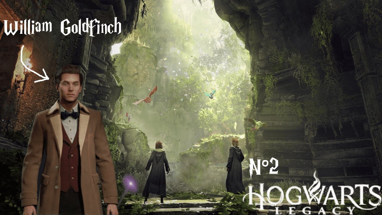 William Goldfinch fait ses premiers pas à Poudlard (Hogwarts Legacy #2 ...
