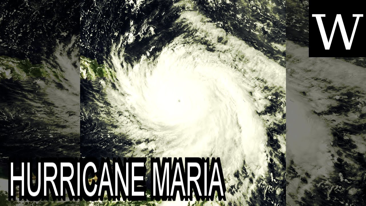 HURRICANE MARIA - WikiVidi Documentary - YouTube