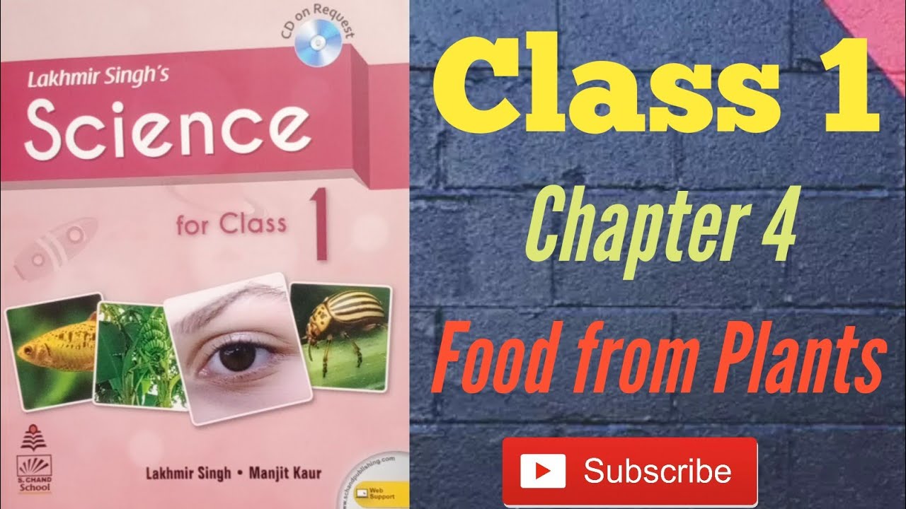 Food From Plants | Chapter 4 | Class 1 | Science - YouTube