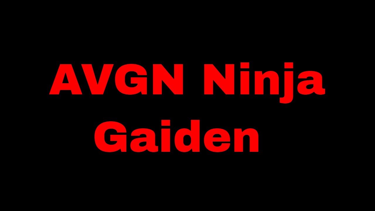 AVGN "Ninja Gaiden" episode quote - YouTube