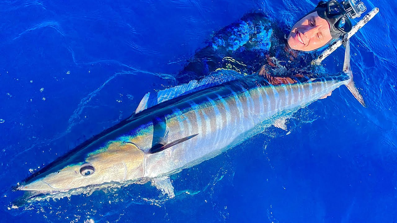 WET AND WILD WAHOO SPEARFISHING IN FLORIDA // ONE MILE FROM THE BEACH ...