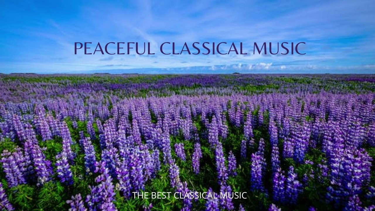 Música Clássica para relaxar o corpo e a mente - Classic Music to Relax ...