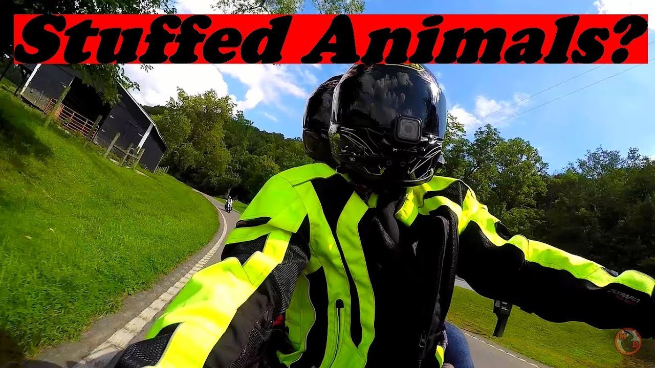 Stuffed Animal Obsession? | Southeast Ohio Riding - YouTube
