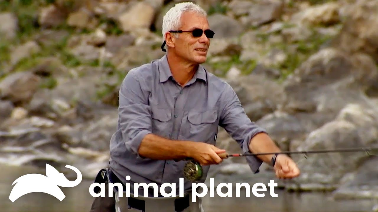 Jeremy Goes FLY FISHING! | River Monsters | Animal Planet - YouTube