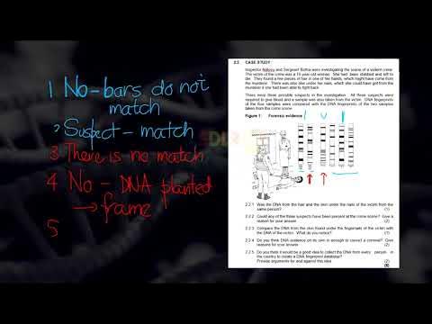 GRADE 12 - LIFE SCIENCE - DNA - DNA PROFILING - YouTube