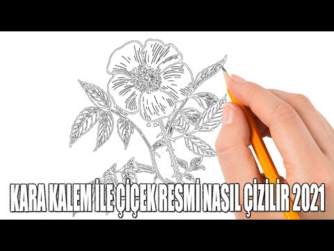 Çiçek Resmi Nasıl Çizilir 🌷 En Güzel Çiçek Resimleri 2021