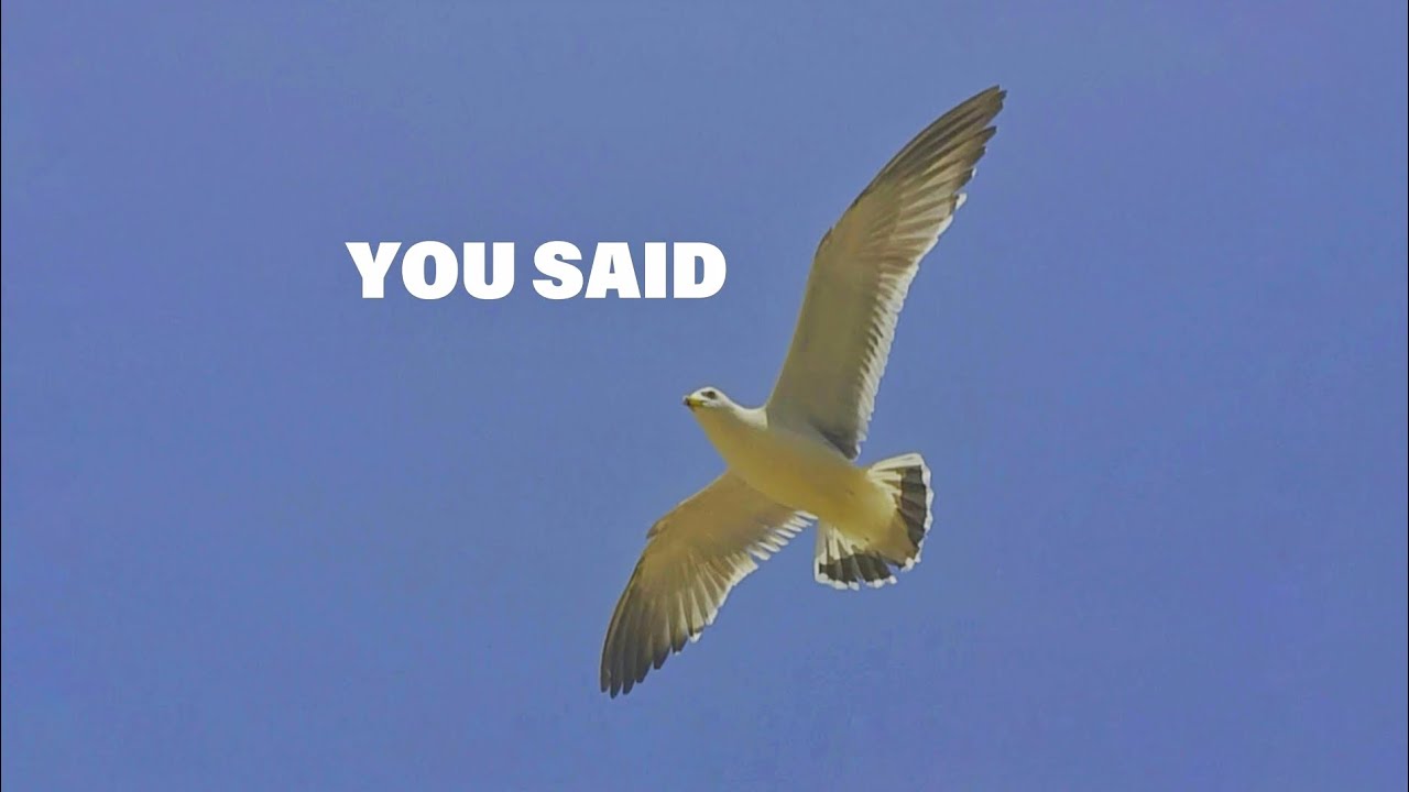 BYBE YOU SAID M V YouTube bybe-you-said-m-v-youtube