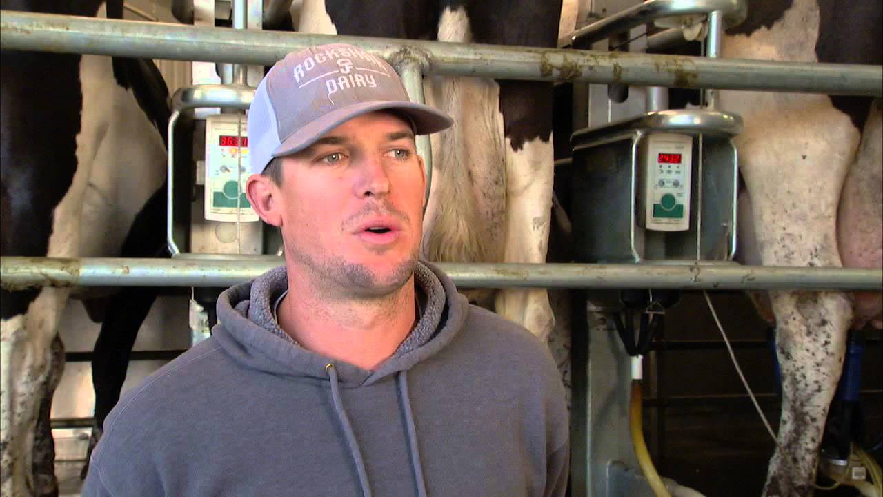 US Testimonial - Cluster Exchange - Nick Anker - YouTube