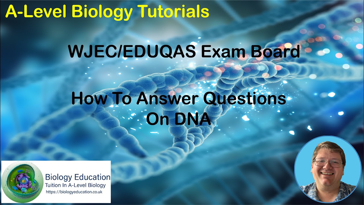 How to answer A-Level biology questions on structure of DNA for WJEC ...