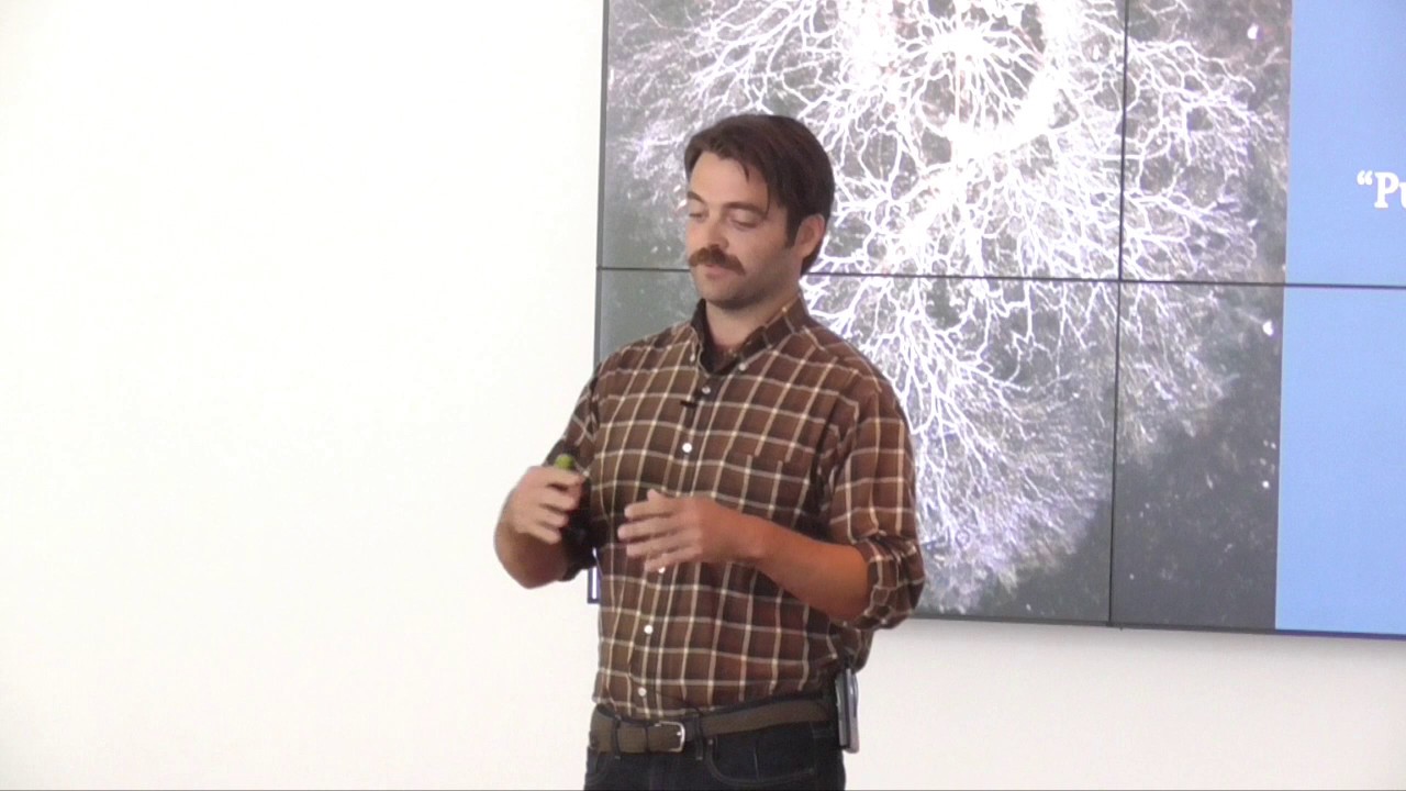 We Are Connected | Scott Delaney | TEDxToledo - YouTube