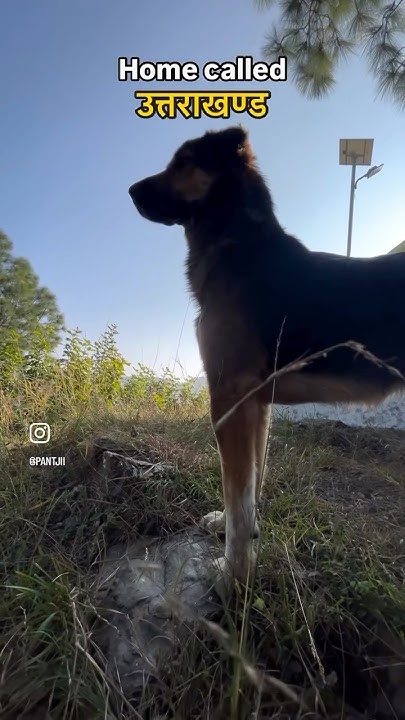 Pahad calling #uttarakhand #manila - YouTube