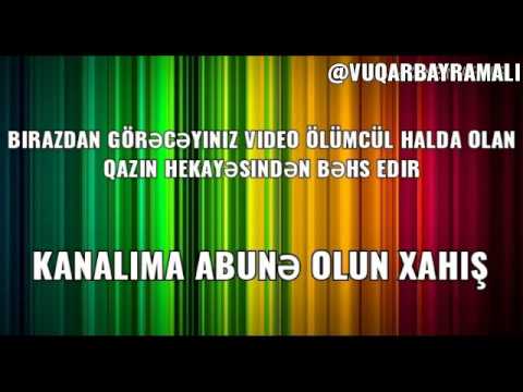 Ölümcül veziyyetde olan bir qaz balasinin son anda heyata tutunmasi.Qaz.Ördek.Hayvandarlıq.Kuşçuluk.