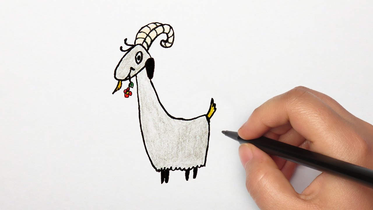 HOW TO DRAW A FUNNY GOAT | Me And Draw - YouTube
