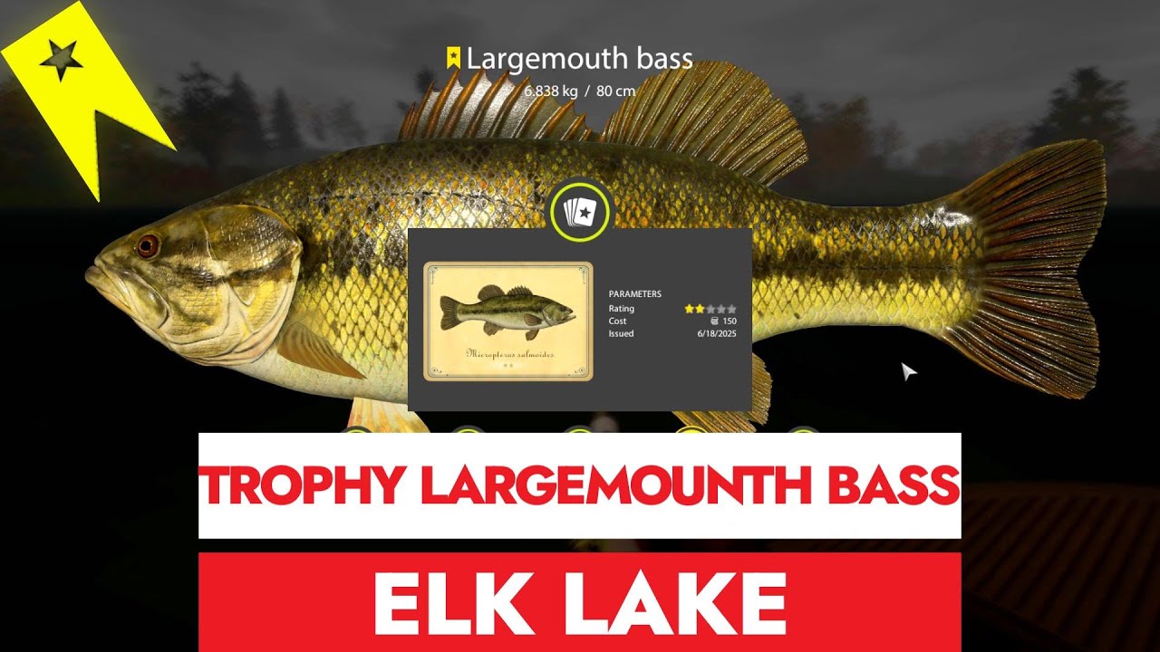 RUSSIAN FISHING 4 - RF4 - TROPHY LARGEMOUNTH BASS - ELK LAKE - YouTube