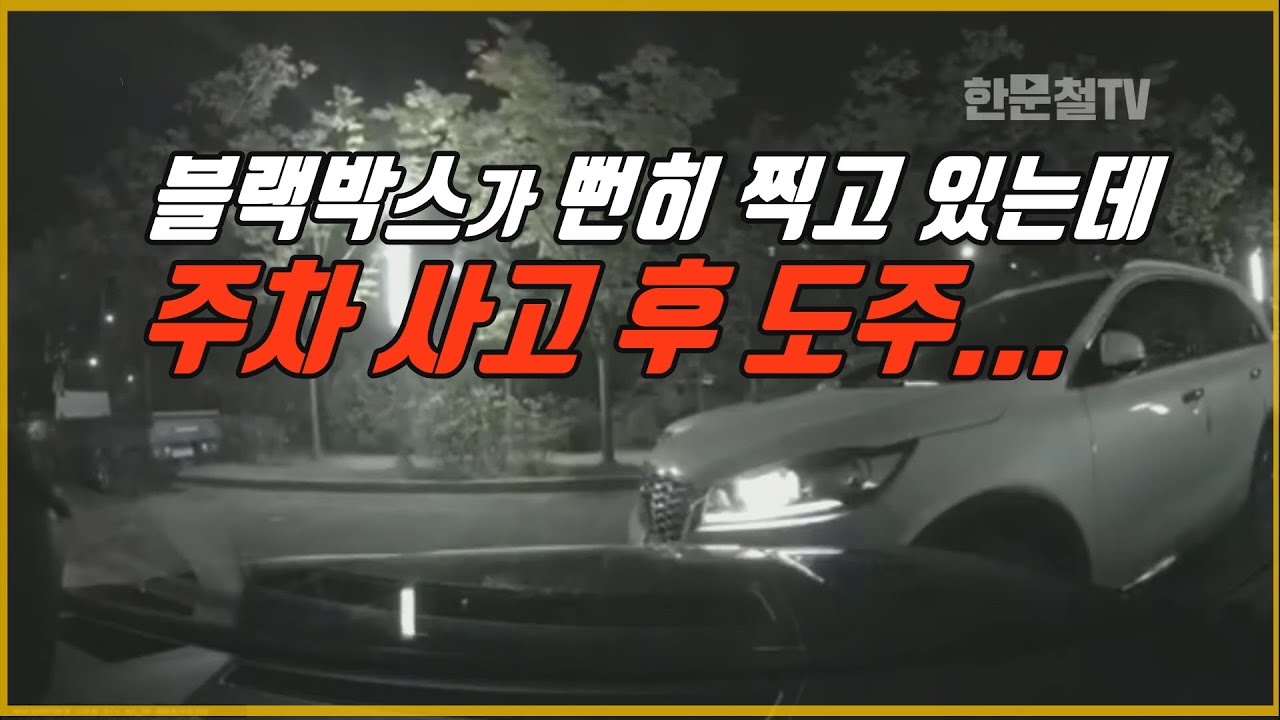 물피 도주 형사 처벌 5232회 주차된 차 들이받고 그냥 가버렸어요 수리비 렌트비 외에 더 보상받을 수 없나요 모든