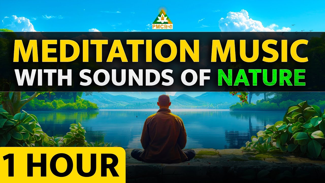 Meditation With the Sounds of Nature | [1 Hour] Soothing Meditation ...