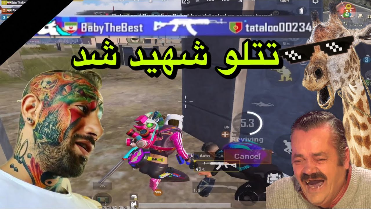 تو پابجی تتلو رو کشتم😂 Pubgmobile Youtube