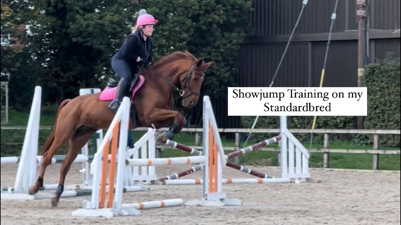 Standardbred Goes Jumping! - YouTube