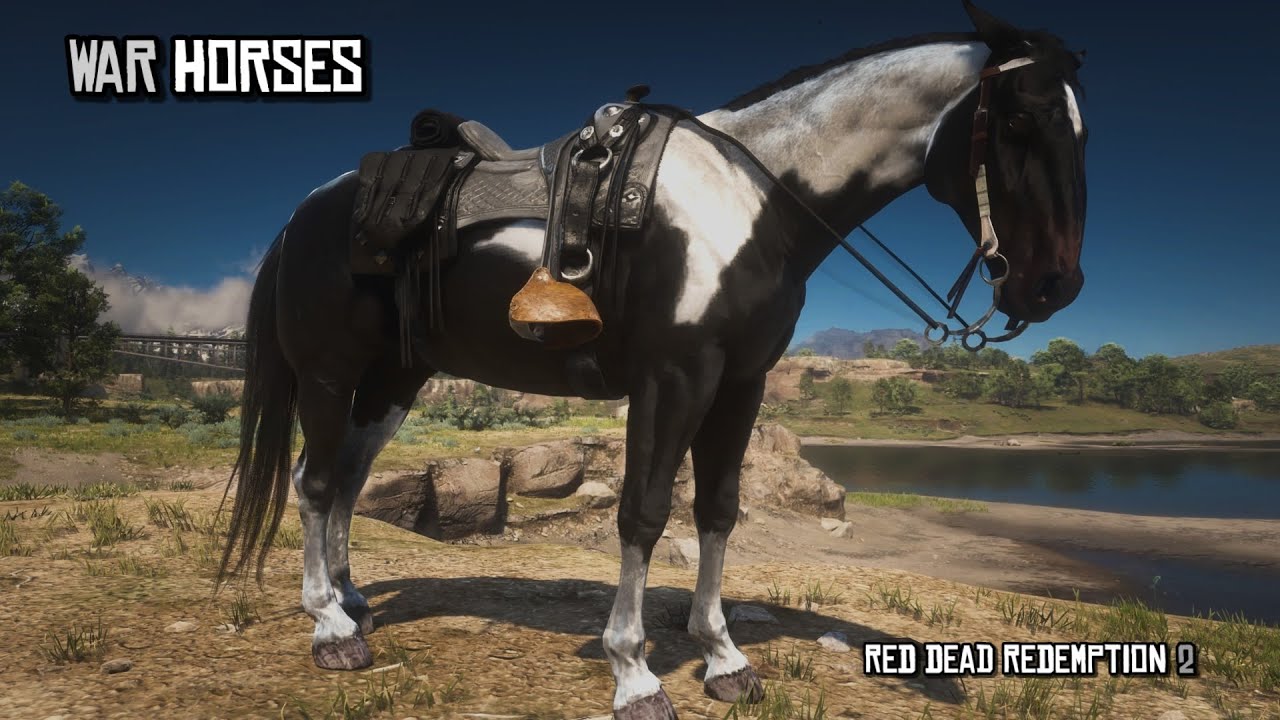 5 Best War Horses for Arthur in Chapter 2 | Red Dead Redemption 2 - YouTube