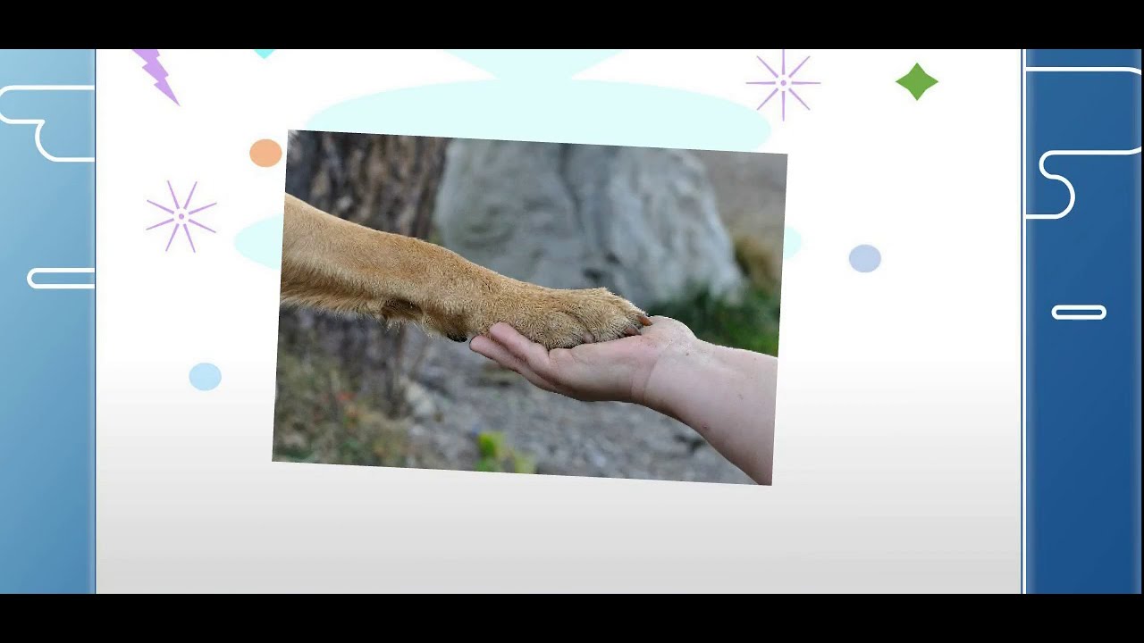 Paw ( meaning + pronunciation + images ) - YouTube