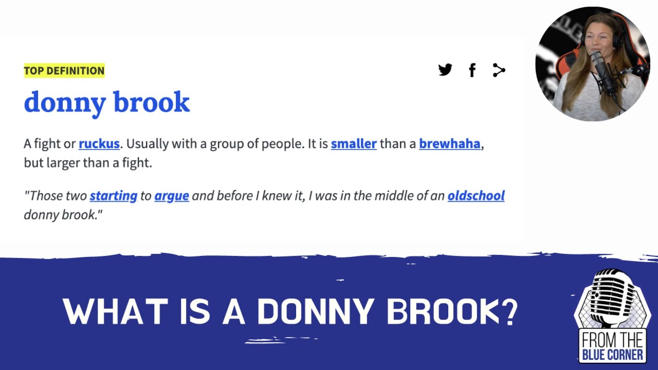 Danielle Hayes "A Donnybrook Just Basically Means A Brawl, A Mass Fight ...