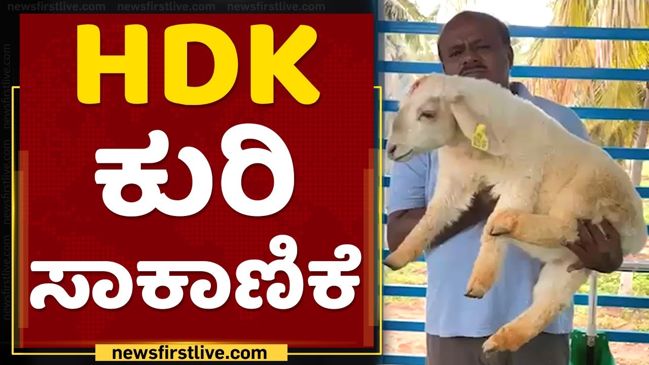 HD Kumaraswamy Bidadi Farm House : ಹೆಚ್ ಡಿಕೆ ಕುರಿ ಸಾಕಾಣಿಕೆ | NewsFirst ...