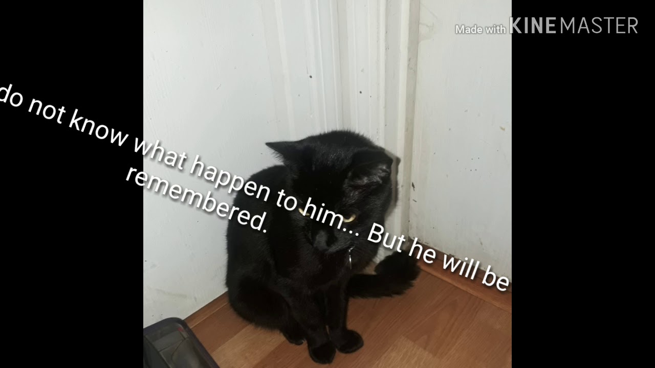 He is happy now. - YouTube