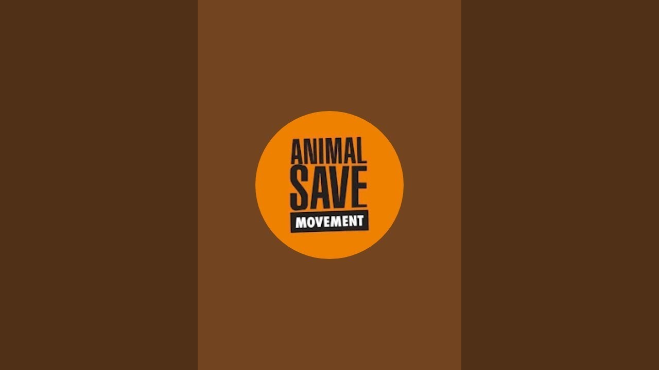 Animal Save Movement is live! - YouTube