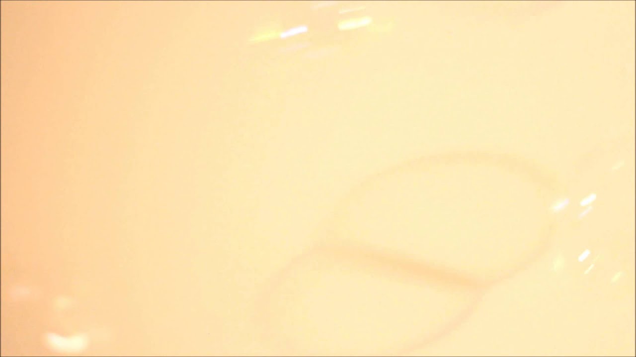 Green Screen Background Effects - YouTube