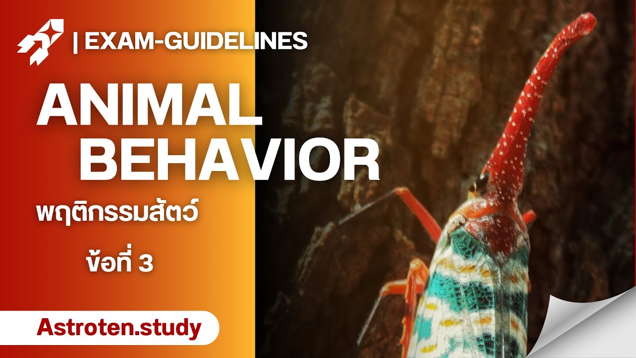 [EXAM-GUIDE] แนวข้อสอบพฤติกรรมสัตว์ ข้อที่ 3 | Astroten.study - YouTube