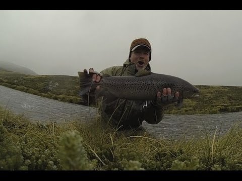 Falkland Islands Sea-run Brown Trout Fishing - YouTube