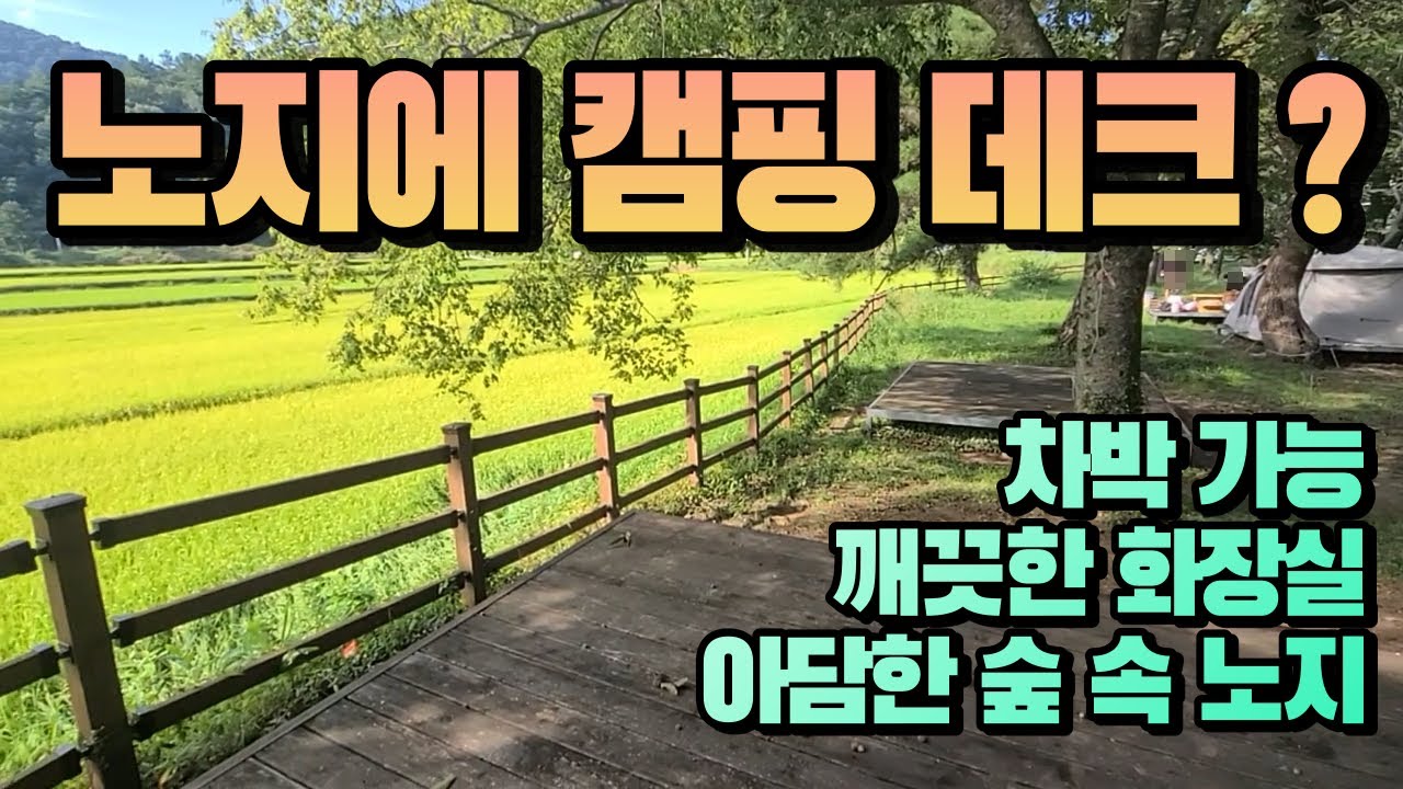 A급 노지 데크 사이트로 숲 속 노지 차박이 가능한 공터 깨끗한 화장실 음수대 가을에 가면 뷰가 좋아 추천드려요