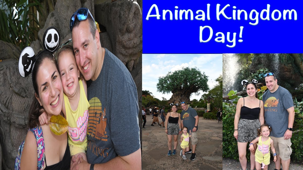 Animal Kingdom Day | Walt Disney World Trip Day 4 | October 2021 - YouTube