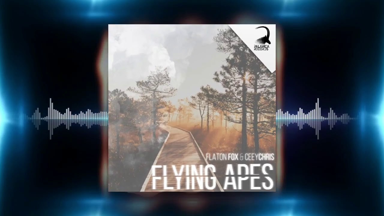 Flaton Fox & CeeyChris - Flying Apes - YouTube