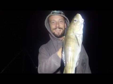summer cod fishing on chesil beach /sea fishing uk/ THE BIG BEACH - YouTube