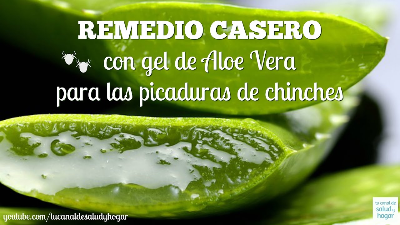 Tratamiento De Las Picaduras De Araña Con Remedios Caseros