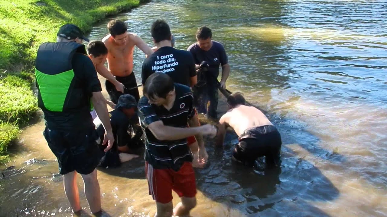 Daniel (dindo) e Paulo, pescaria no sítio - YouTube