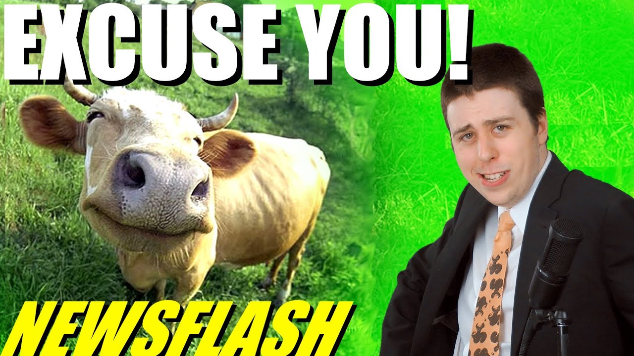 Cow Farts Cause Barn Explosion! - NEWSFLASH - YouTube