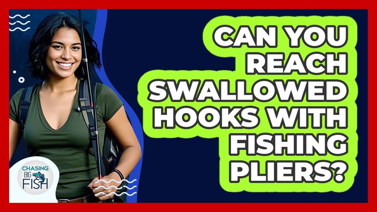 Can You Reach Swallowed Hooks With Fishing Pliers? - Chasing Big Fish ...