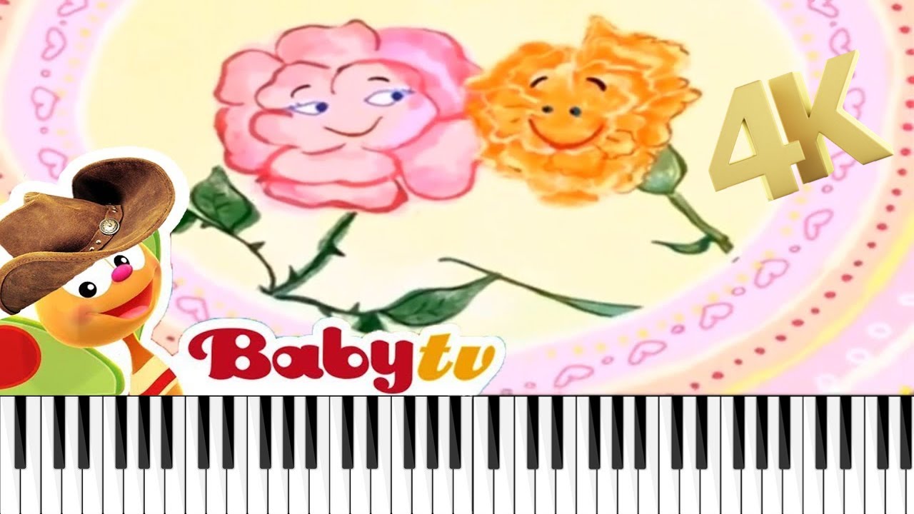BabyTV - Rose and Carnation 4K Sheet Music - YouTube