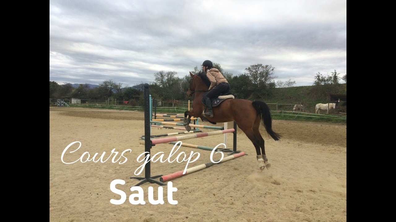 {Cours galop 6 du samedi}: Saut - YouTube