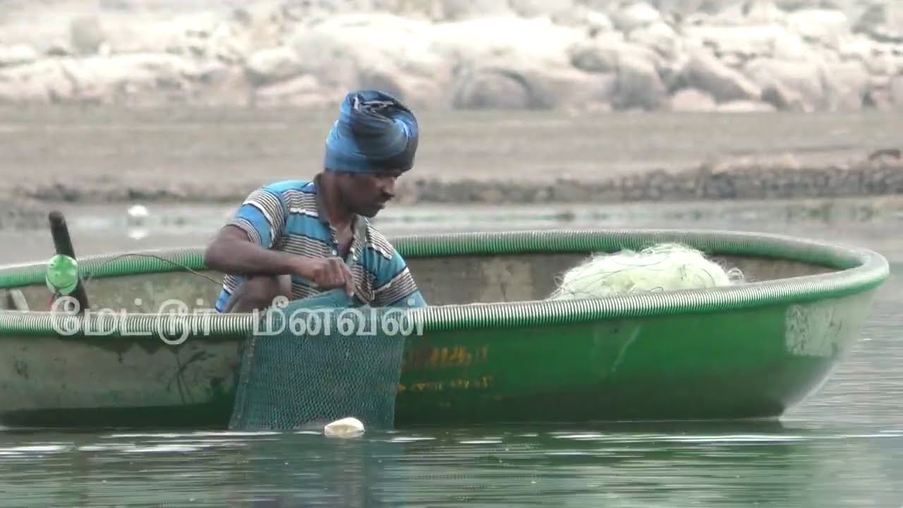 Best fishing using net - YouTube