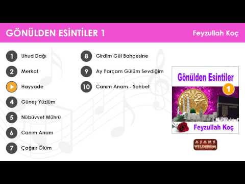 Hayyade - Feyzullah Koç