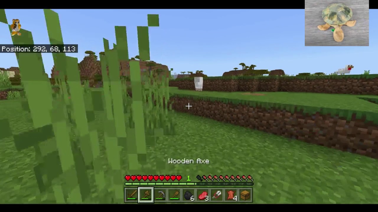 Turtle Plays Minecraft! - YouTube