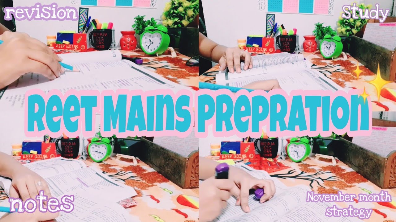 Reet Mains Prepration 🎯 | Self Study | Study Vlog | Srudious sunflower 🌻 - YouTube