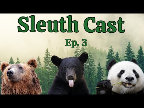Sleuth Cast Episode 3 - YouTube