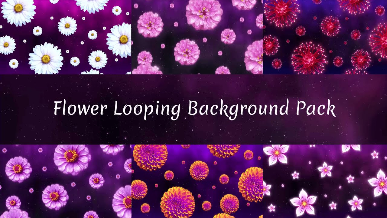 flower loop background pack - YouTube